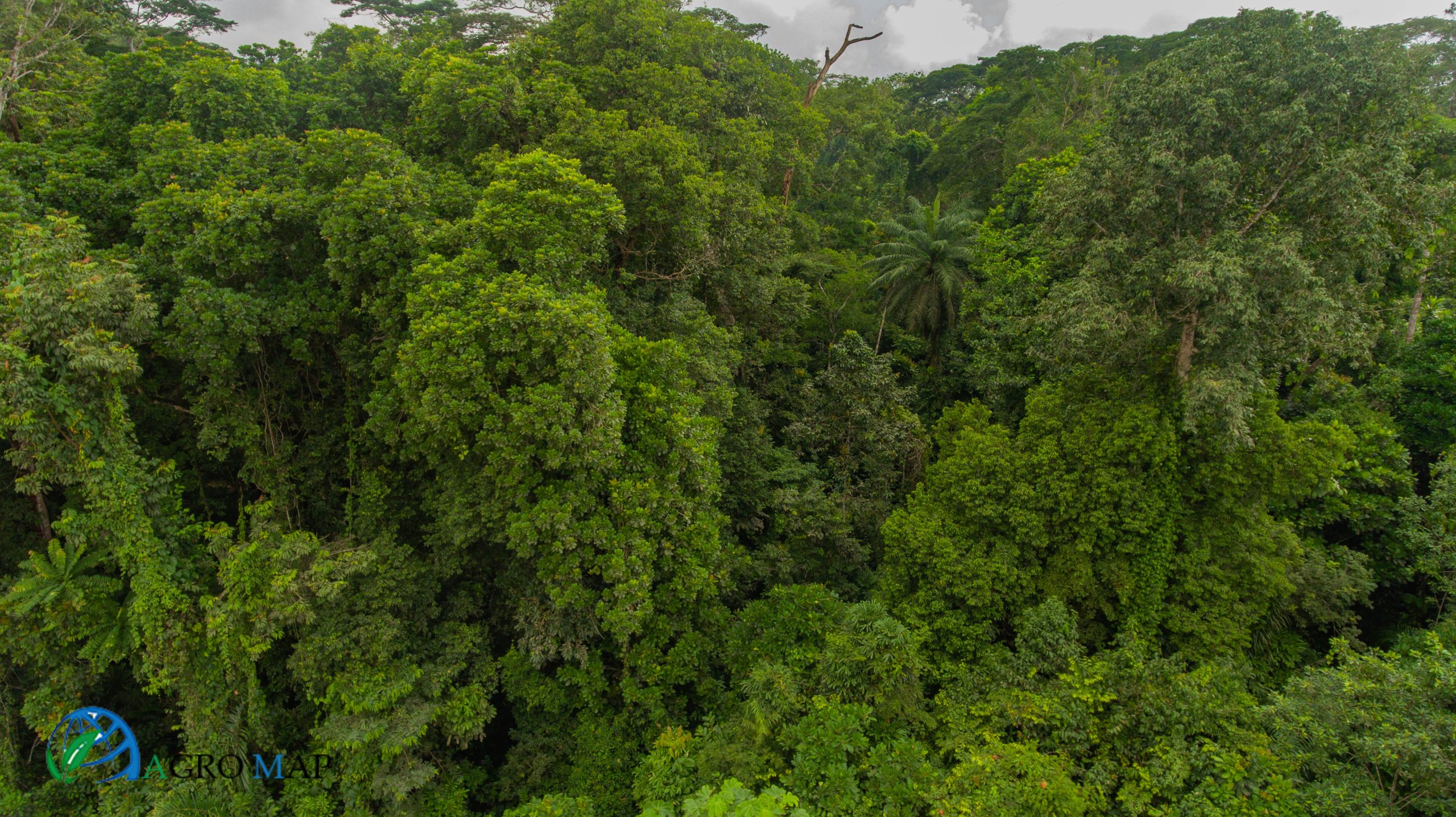 AGRO-MAP – Nature Based Solutions (NBS)