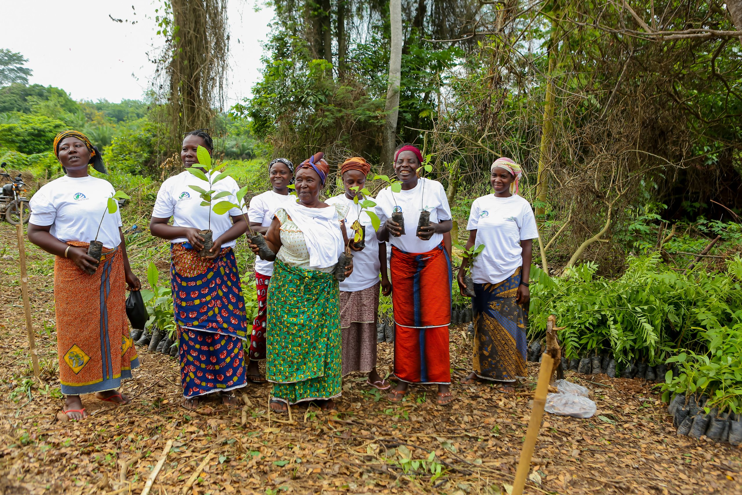 AGRO-MAP – Nature Based Solutions (NBS)