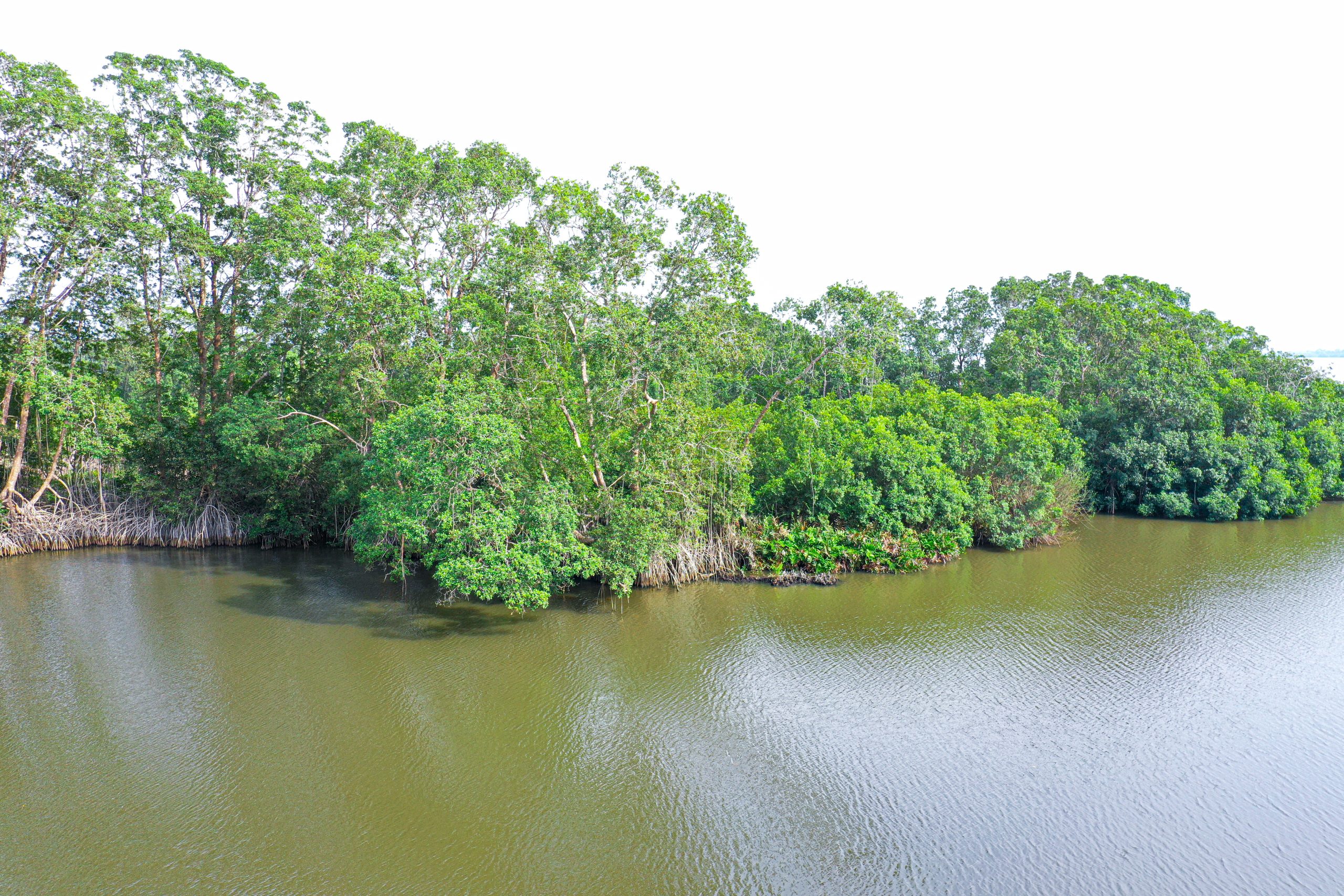 AGRO-MAP – Nature Based Solutions (NBS)