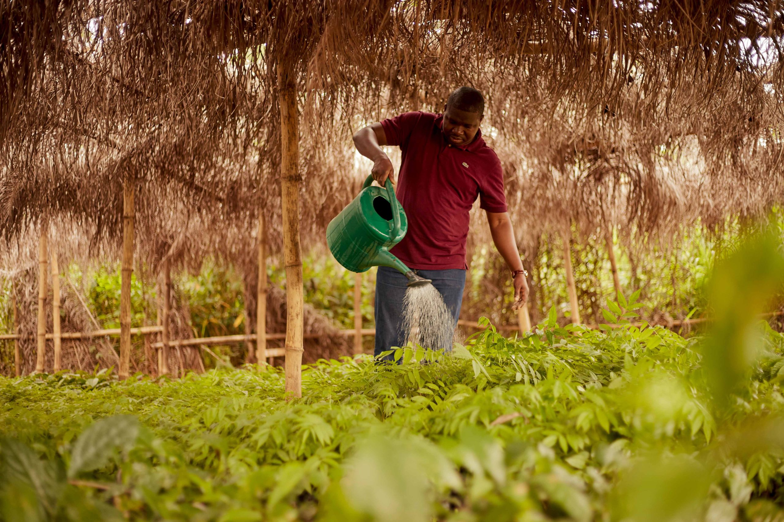 AGRO-MAP – Nature Based Solutions (NBS)